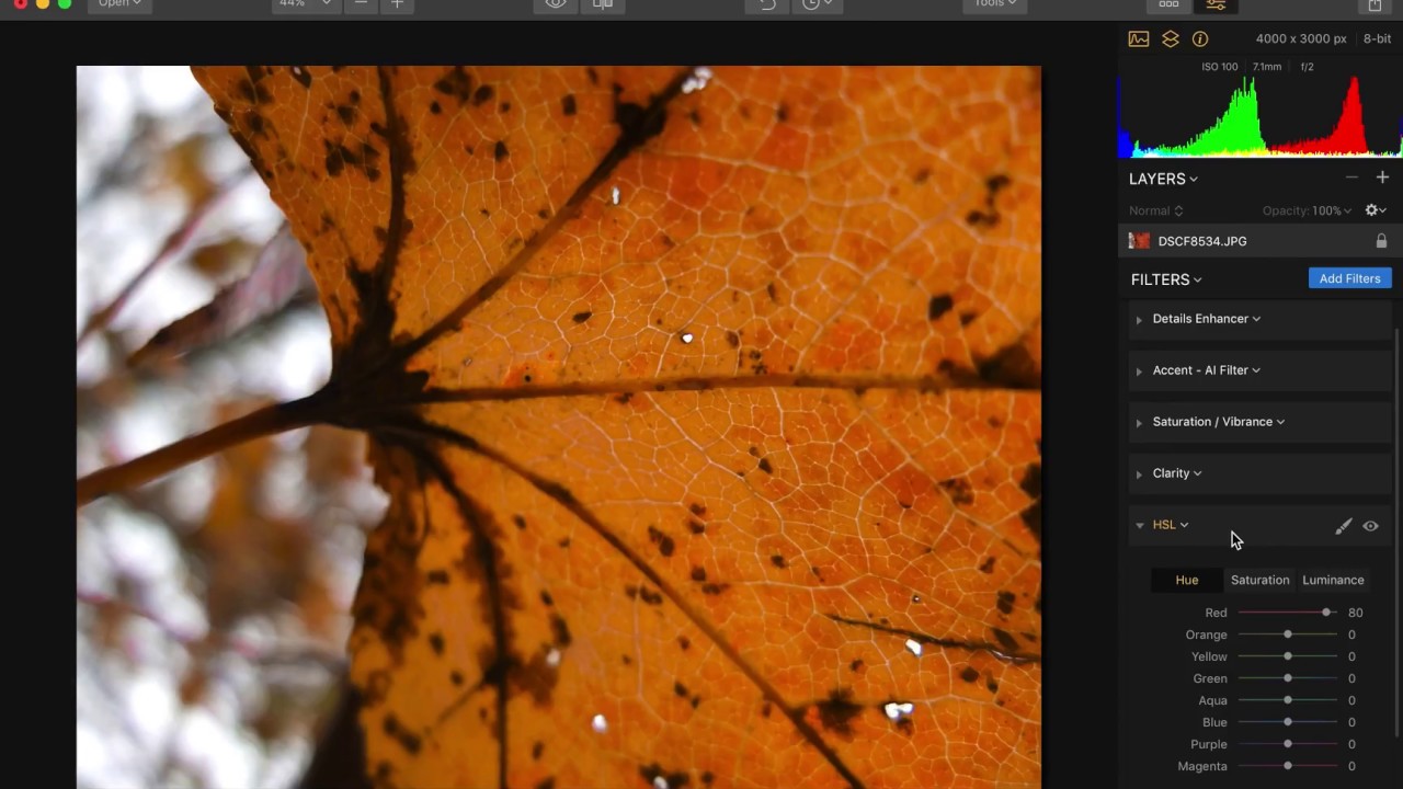 Luminar 2018: The Powerful HSL Filter - YouTube