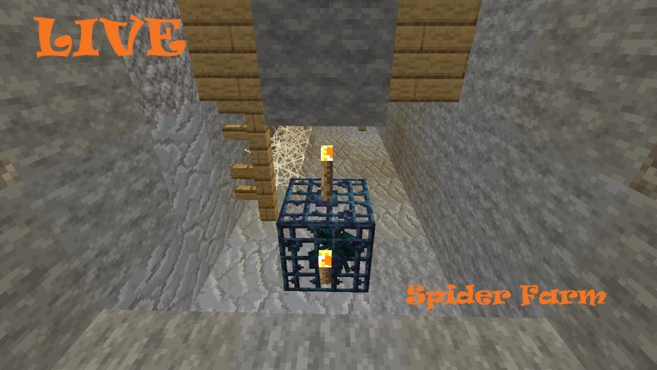 Spider Farm LIVE - YouTube