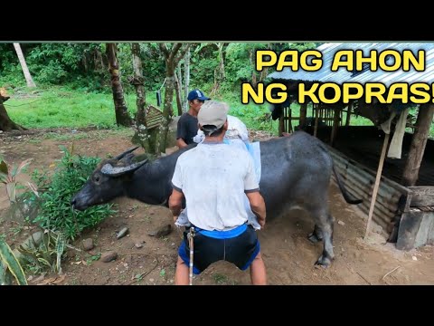 VACATION ORMOC LEYTE: SIMPLENG BUHAY PERO MASAYA SILA DITO SA VISAYA, SARAP NG TINOLANG ISDA ...