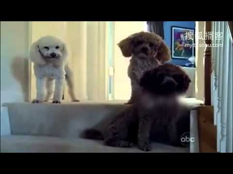 Who made this mess - YouTube