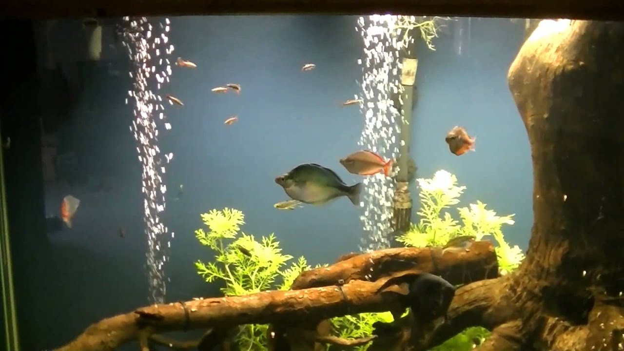 Complete Update of All the Tanks - YouTube