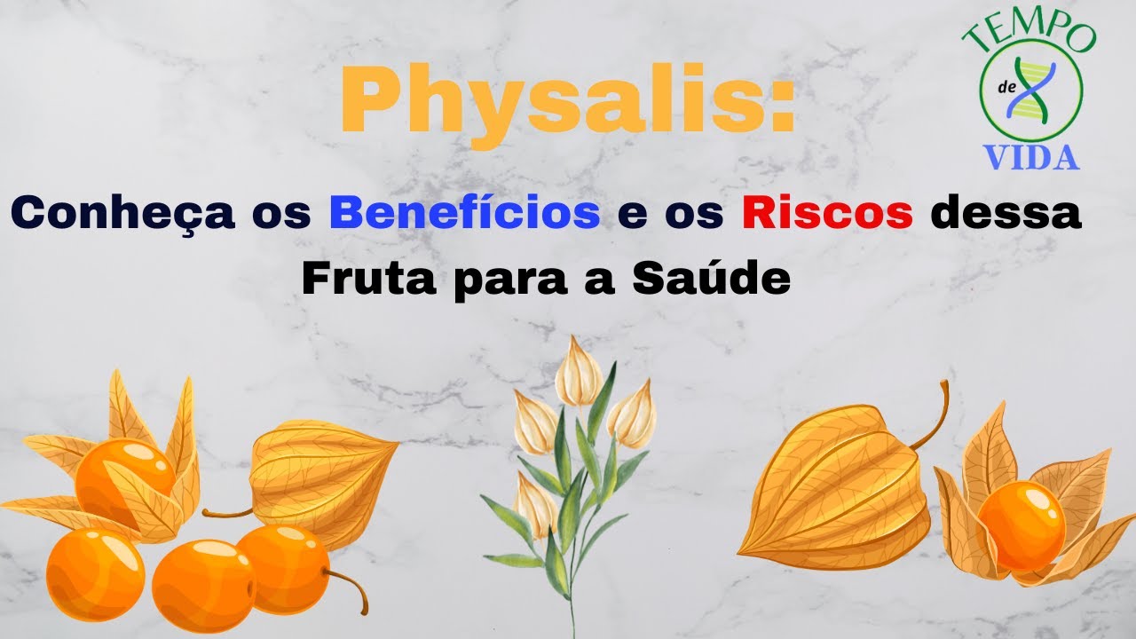 Physalis: Conheça os Benefícios e os riscos da Camapu, Fisális ou ...