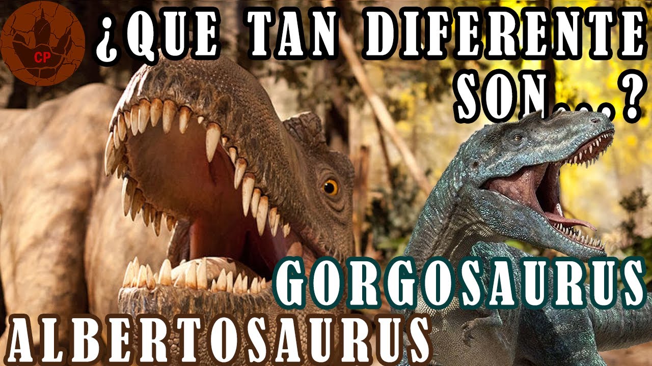 ¿QUÉ TAN DIFERENTES SON ALBERTOSAURUS Y GORGOSAURUS? - YouTube