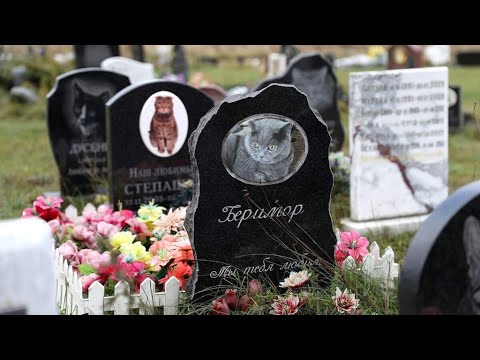 ПАМЯТНИКИ ЗА 2 МИЛЛИОНА НА КЛАДБИЩЕ ДОМАШНИХ ЖИВОТНЫХ В МОСКВЕ | МАШКИНСКОЕ ШОССЕ 06.2025