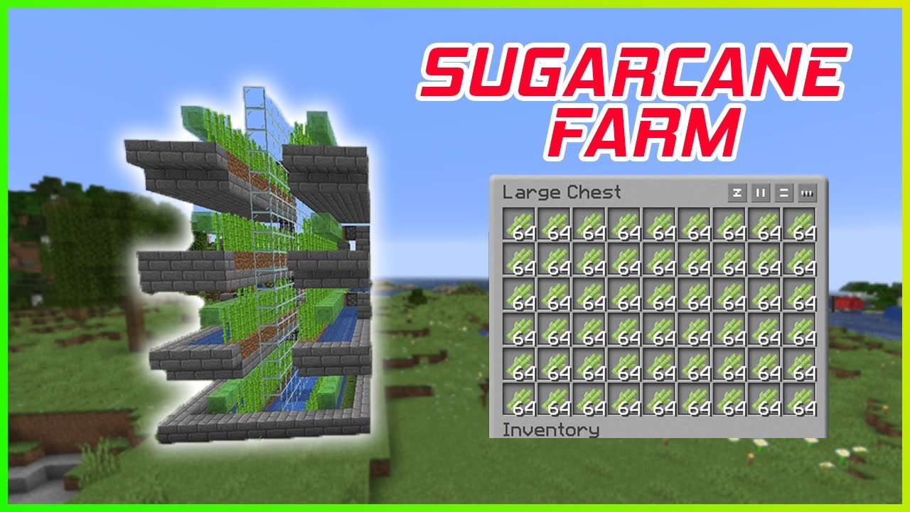 MEGA FERMA AUTOMATA DE SUGARCANE MINECRAFT SURVIVAL EP 42 YouTube mega-ferma-automata-de-sugarcane-minecraft-survival-ep-42-youtube