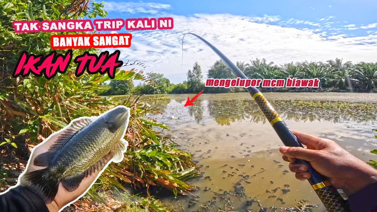 Tak Sangka Sini Puyunya Saiz 5 Jari. Memang MANTAP Saiz dia -part 1 ...