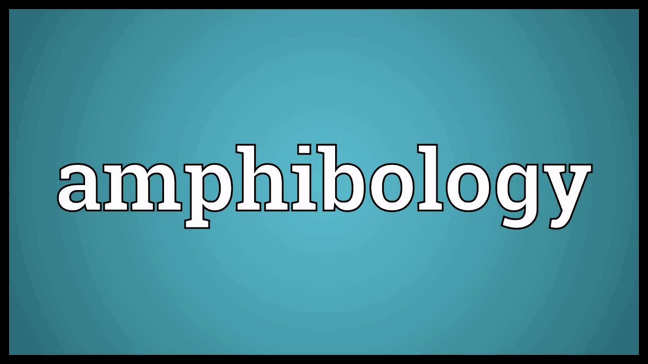 Amphibology Meaning - YouTube