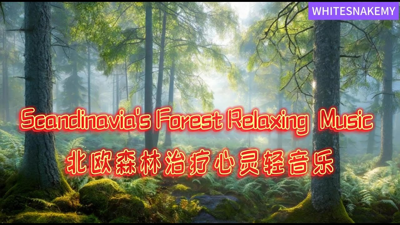 1 hour Scandinavian forest music Relaxing Soft Music - Meditation Music ...