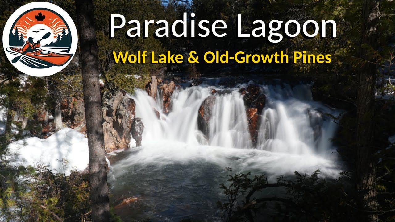 Paradise Lagoon in Winter | Wolf Lake & the Old-Growth Forest | Ontario ...