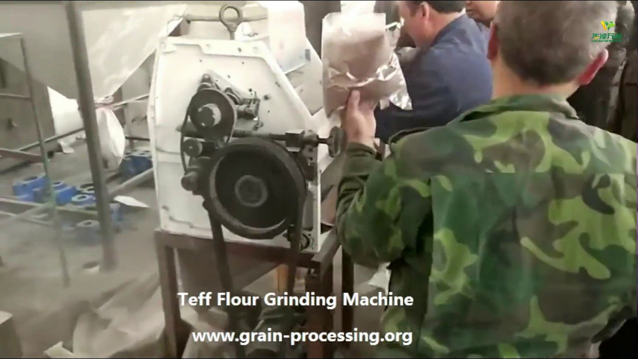 የጤፍ ፋብሪካ ማምረቻ Teff flour grinding machine, Teff flour mill, የጤፍ ዱቄት ...