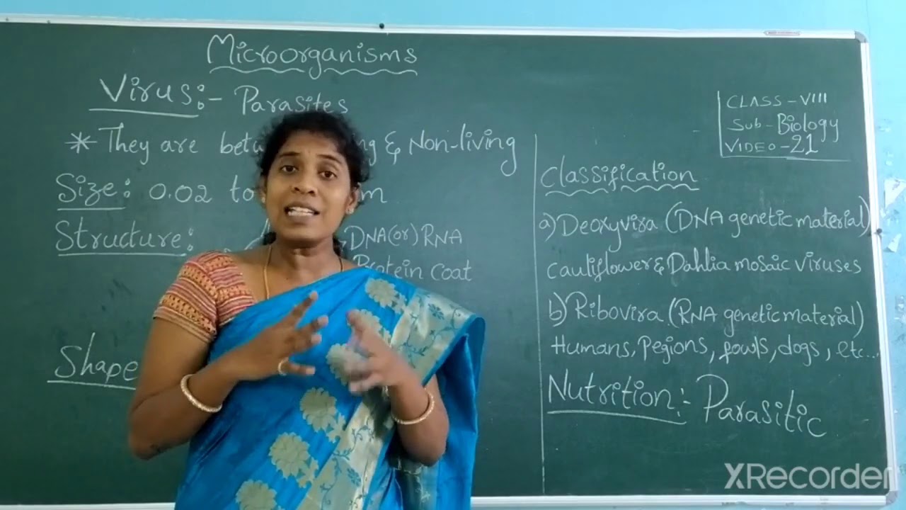 Microorganisms - Viruses CLASS-VIII (Video - 6) - YouTube