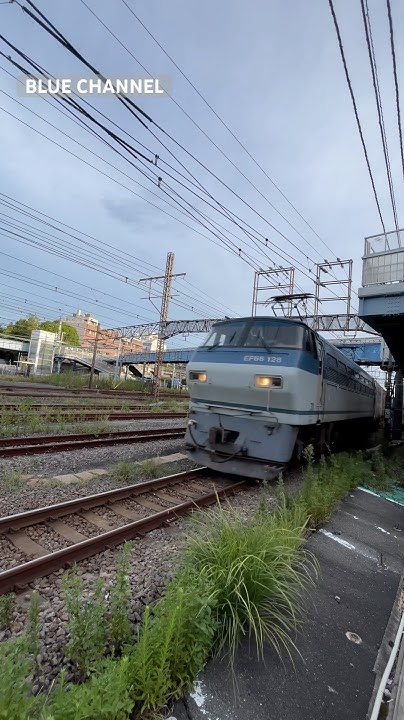 (貨物列車) 2024/09/21 3075レ EF66-128 + コキ17B (札幌タ〜名古屋タ) #Shorts - YouTube