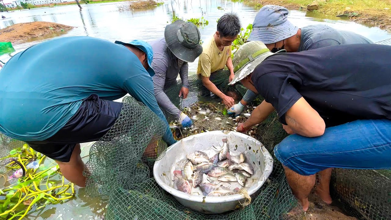 Amazing fishing| River Life and Traditional Big Fishing Video - YouTube