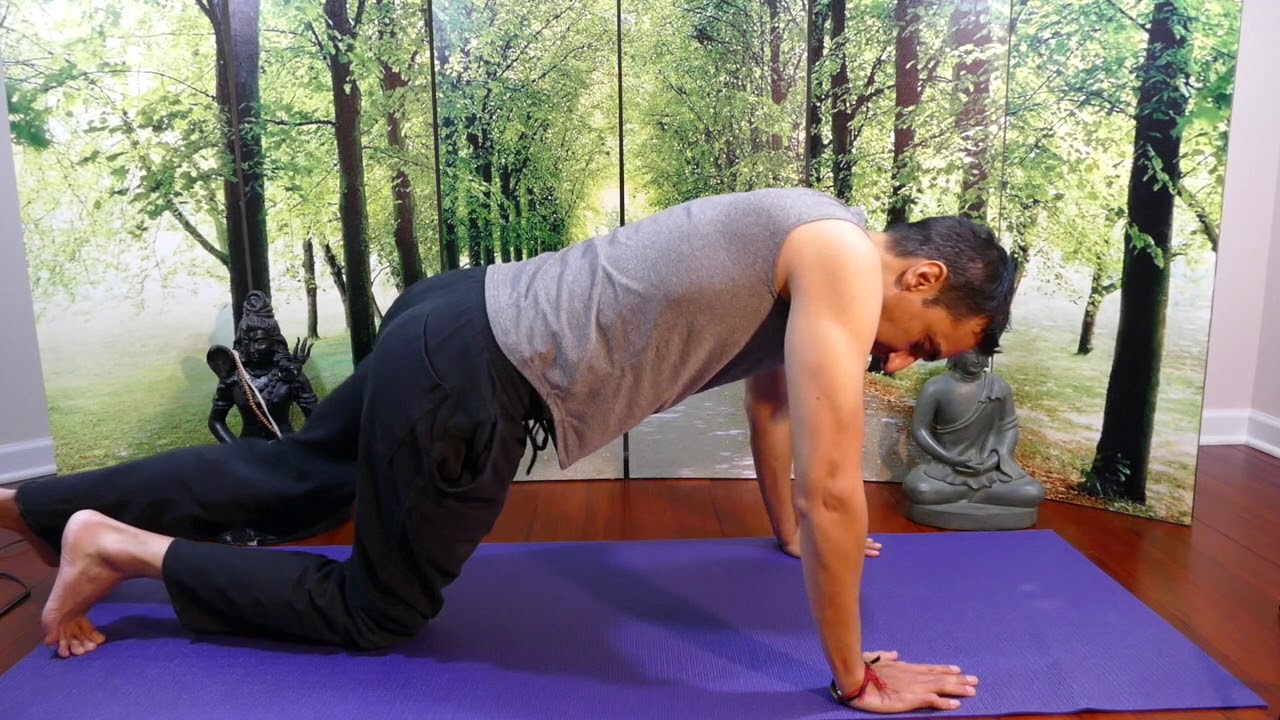 Cobra Push-Ups for Toned and Defined Arms and Chest - YouTube