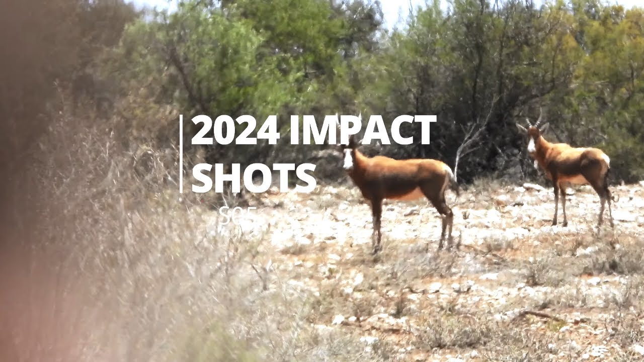 2024 Impact Shot Compilation | Huntech Pro - YouTube