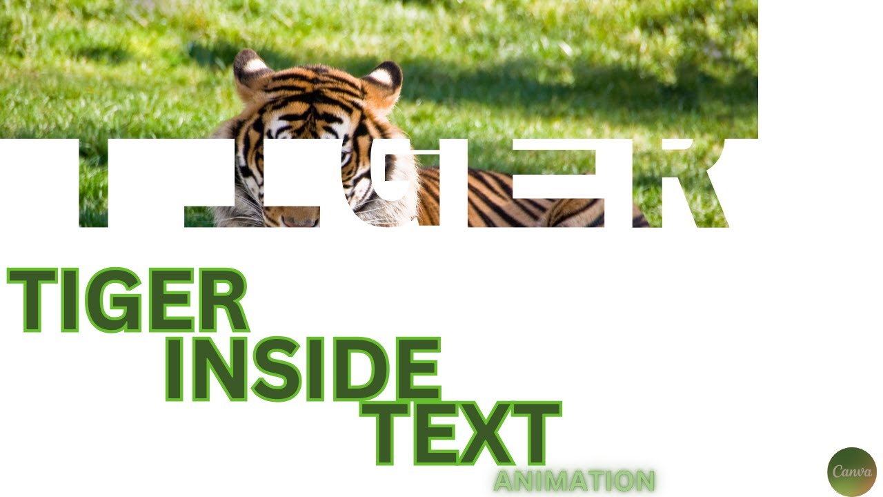 Text Animation | Canva | Design Tutorial - YouTube