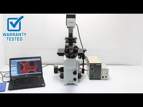 Olympus IX71 Inverted Fluorescence Microscope [BOSTONIND] - 42177 - YouTube