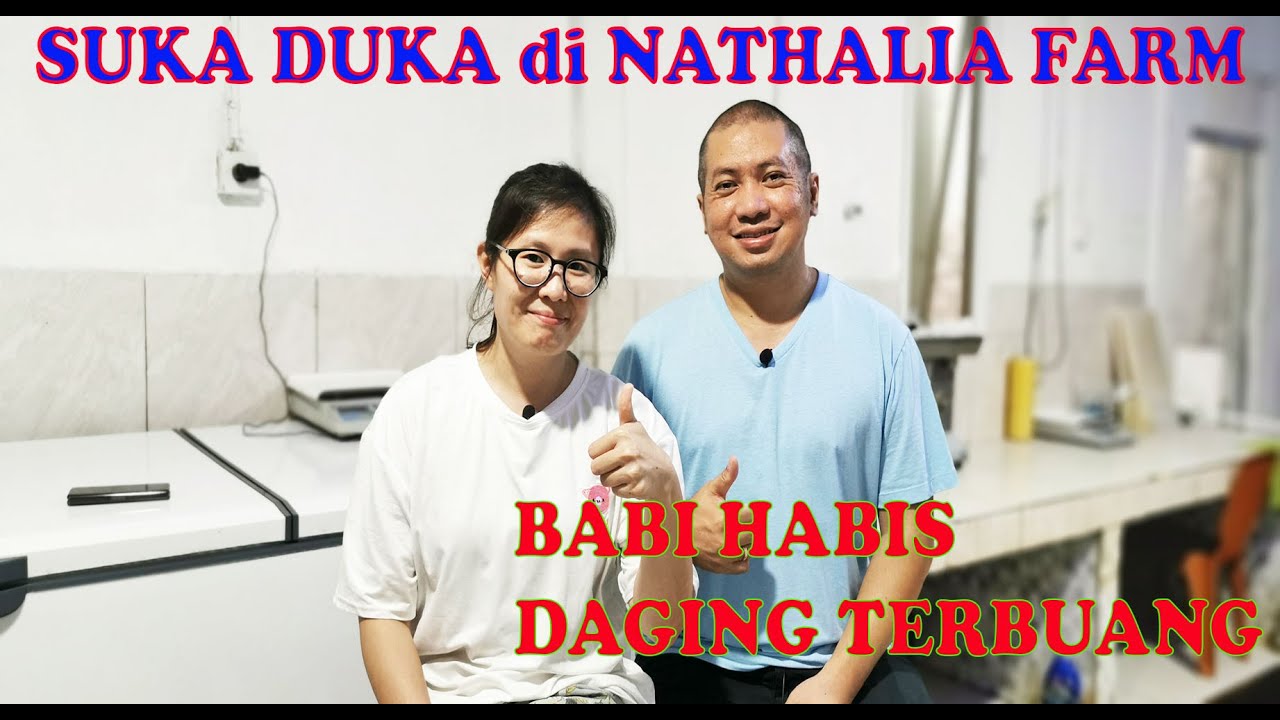 Suka dan Duka Membangun Nathalia Farm - YouTube