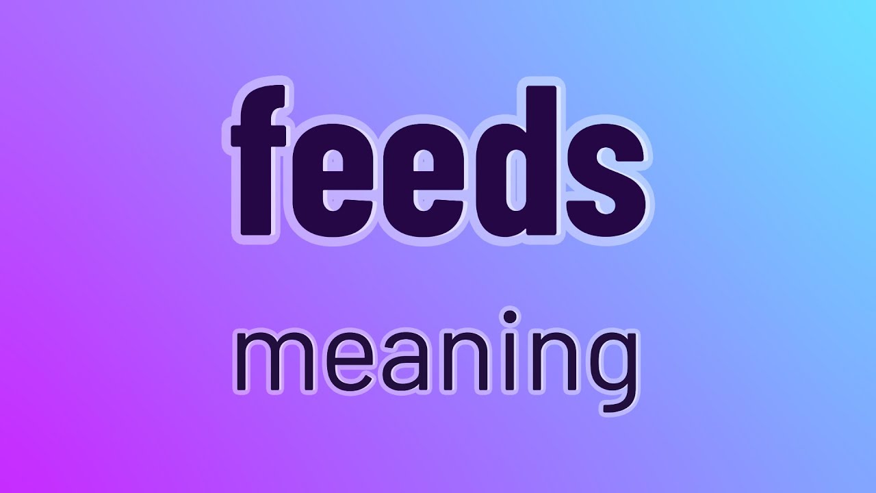 Feeds - 353 English Vocabulary Flashcards - YouTube