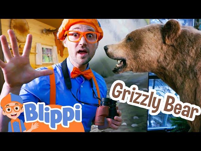 Blippi Visits a Bear at the Nature Center! Animal Videos for Kids ...
