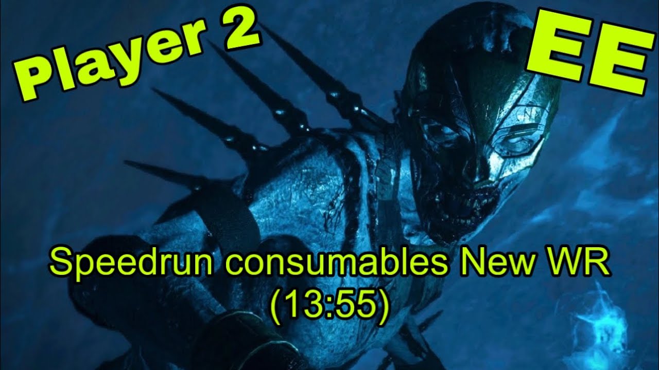 Call of Duty WW2 Zombies The Frozen Dawn EE P2 Consumable New WR (13:55 ...