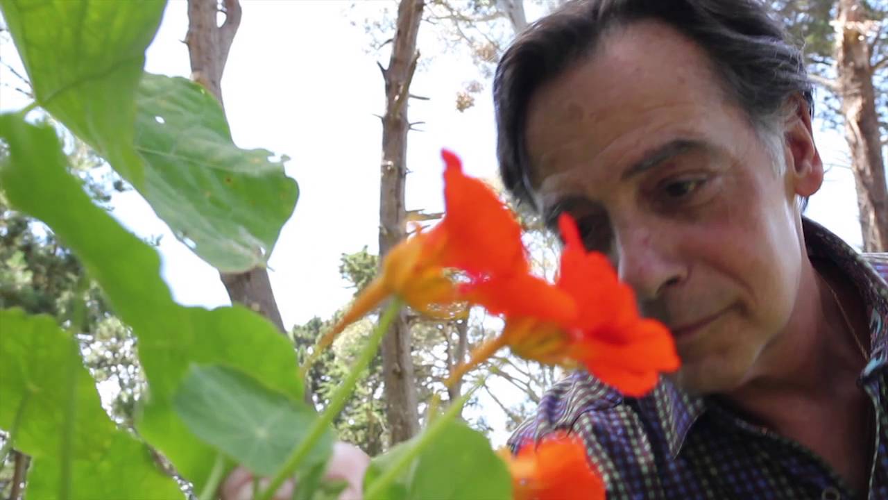 Barry Rose Cutting Edge Of Compassion Trailer - YouTube