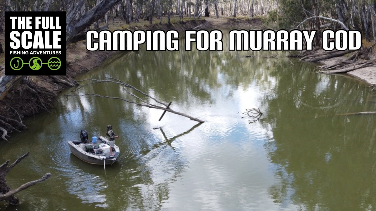 Camping For Murray Cod | The Full Scale - YouTube