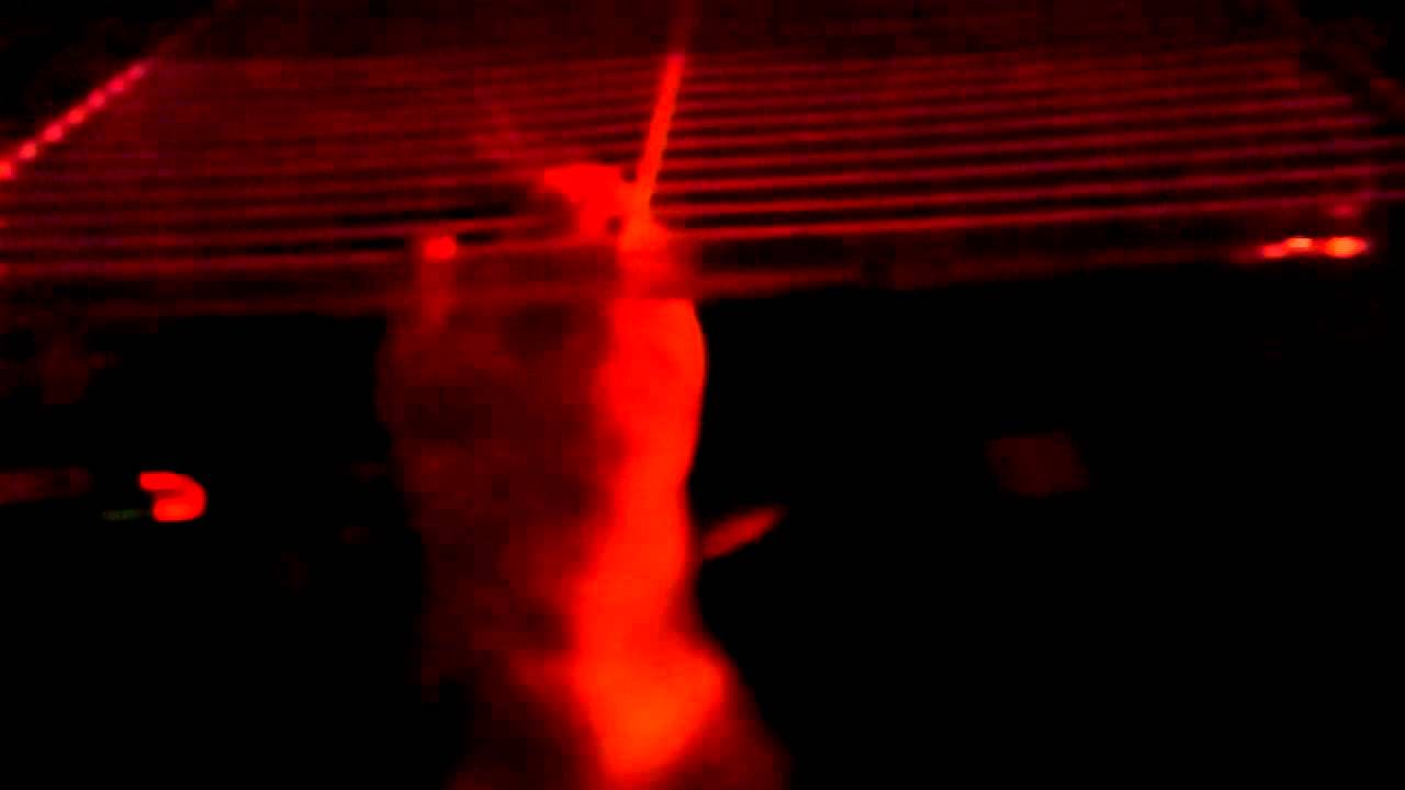 I have captured a vampire hamster - YouTube