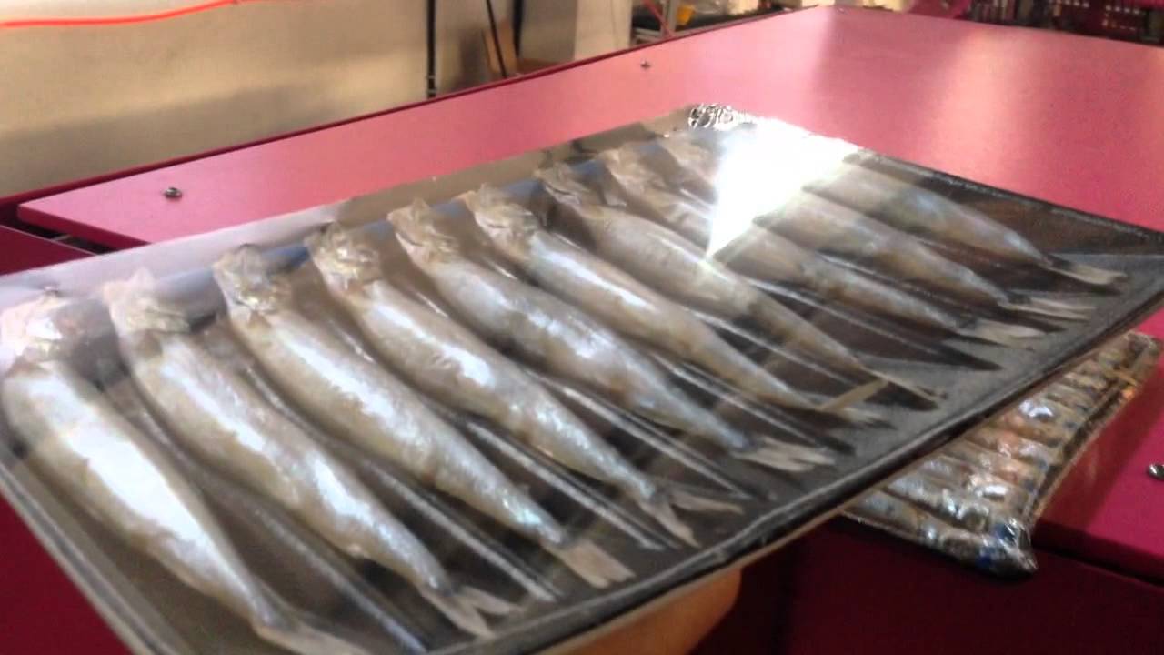 fish packing machine,tray cold fish shrink wrap machinery - YouTube