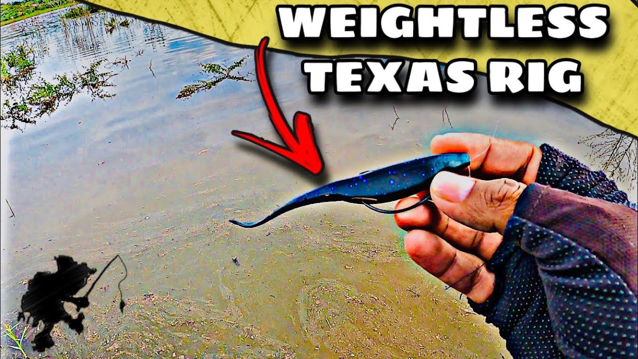 WEIGHTLESS TEXAS RIG😱 | Ideal para cuando las presas suben de nivel ...