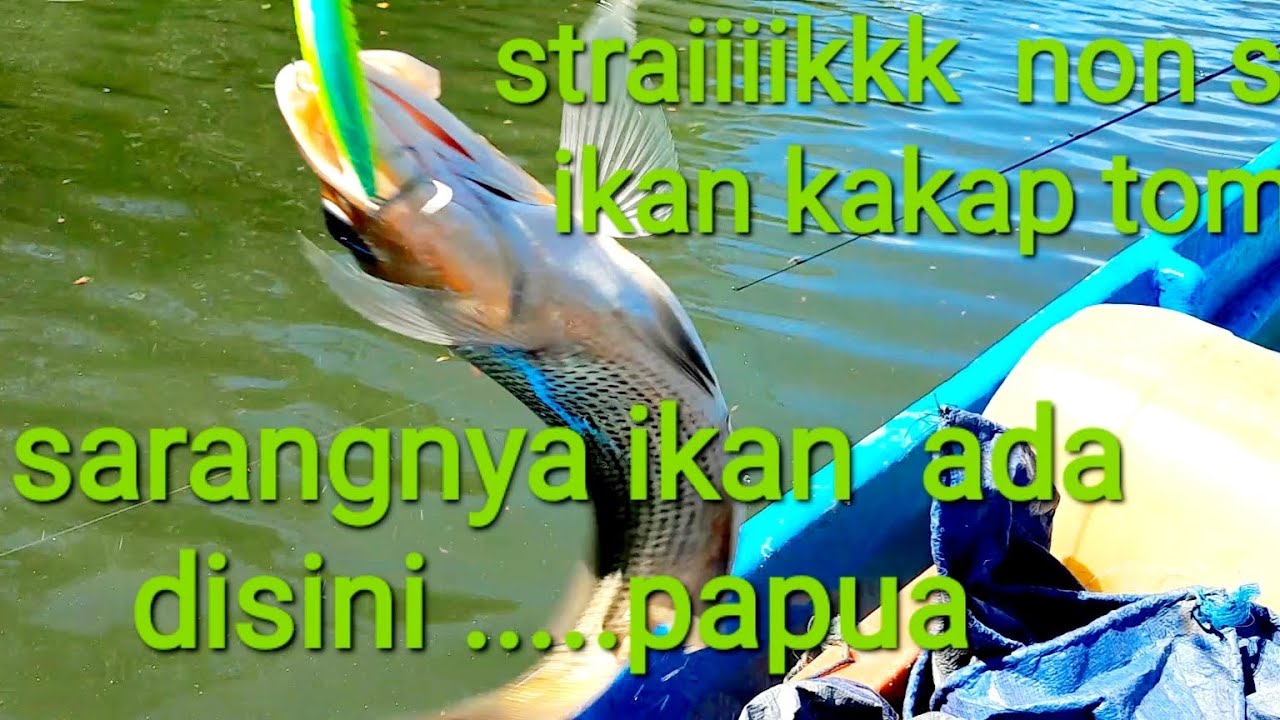 strikee non stop kakap tompel papua. - YouTube