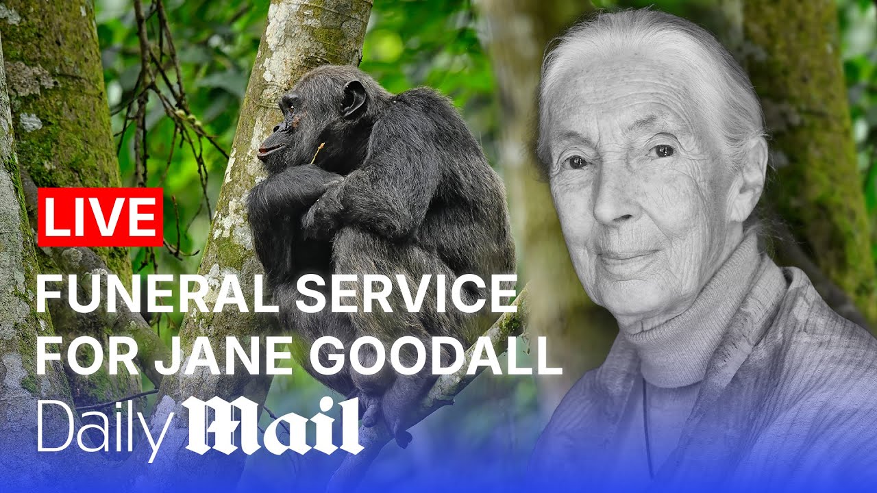 LIVE: Funeral service for Jane Goodall - YouTube