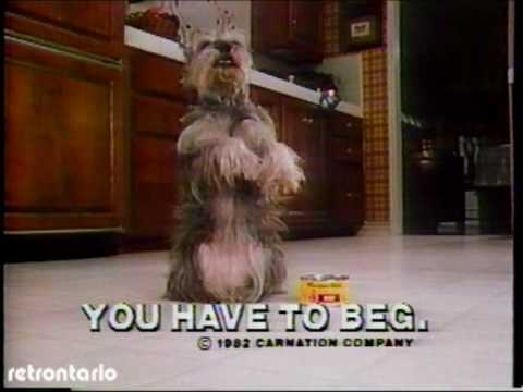 Mighty Dog 1982 - YouTube
