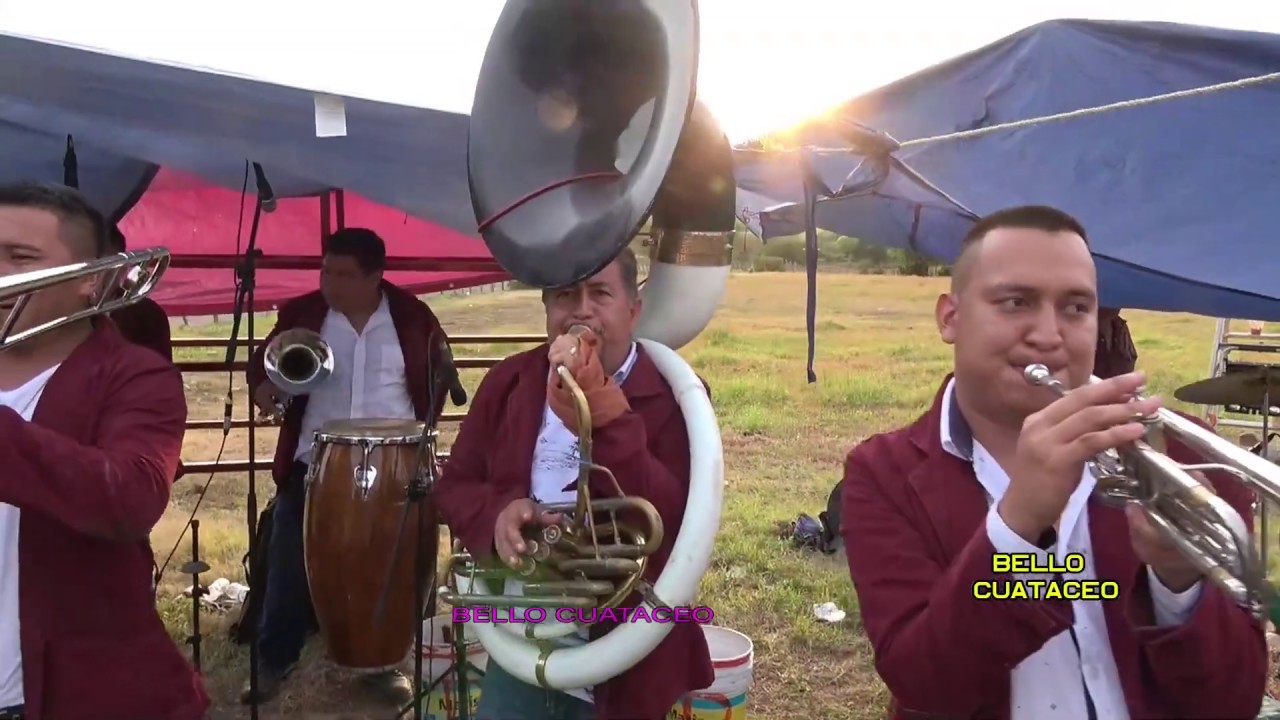 ASI SUENA LA BANDA EN FIESTA DE XV AÑOS - YouTube