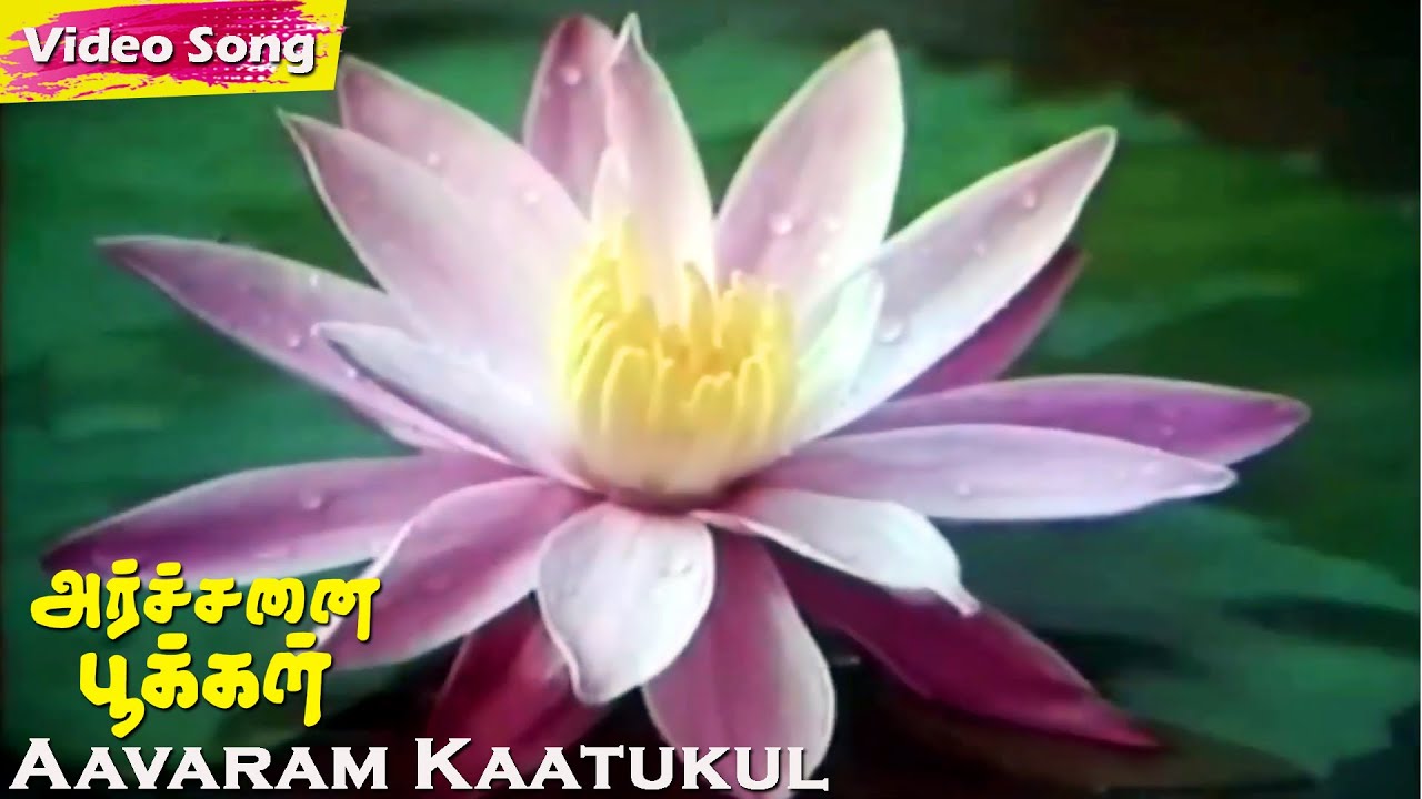 Aavaram Kaatukul HD | Malaysia Vasudevan | Uma Ramanan | Archanai ...