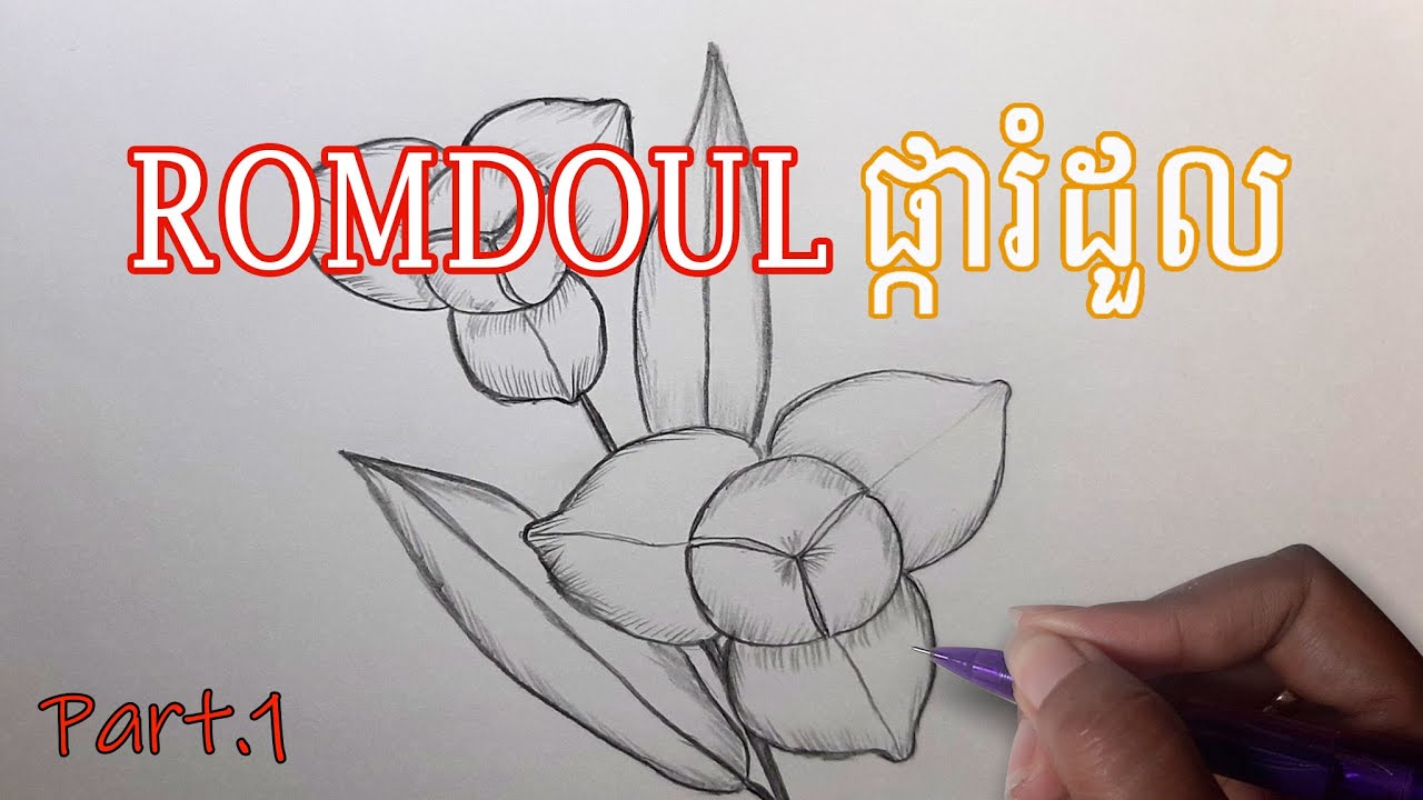 How to Draw Romdoul Flower Part1 || Romdoul Flower Drawing || ផ្ការំដួល ...