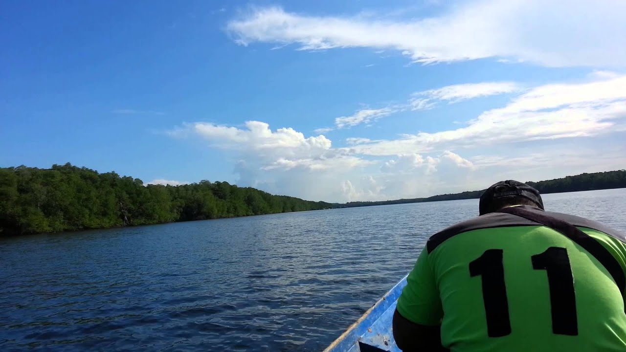 Pancing ikan selunsung.kawan2. .. - YouTube
