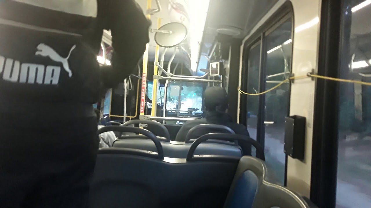 Marta bus: 2008 C40LF #2495 - YouTube