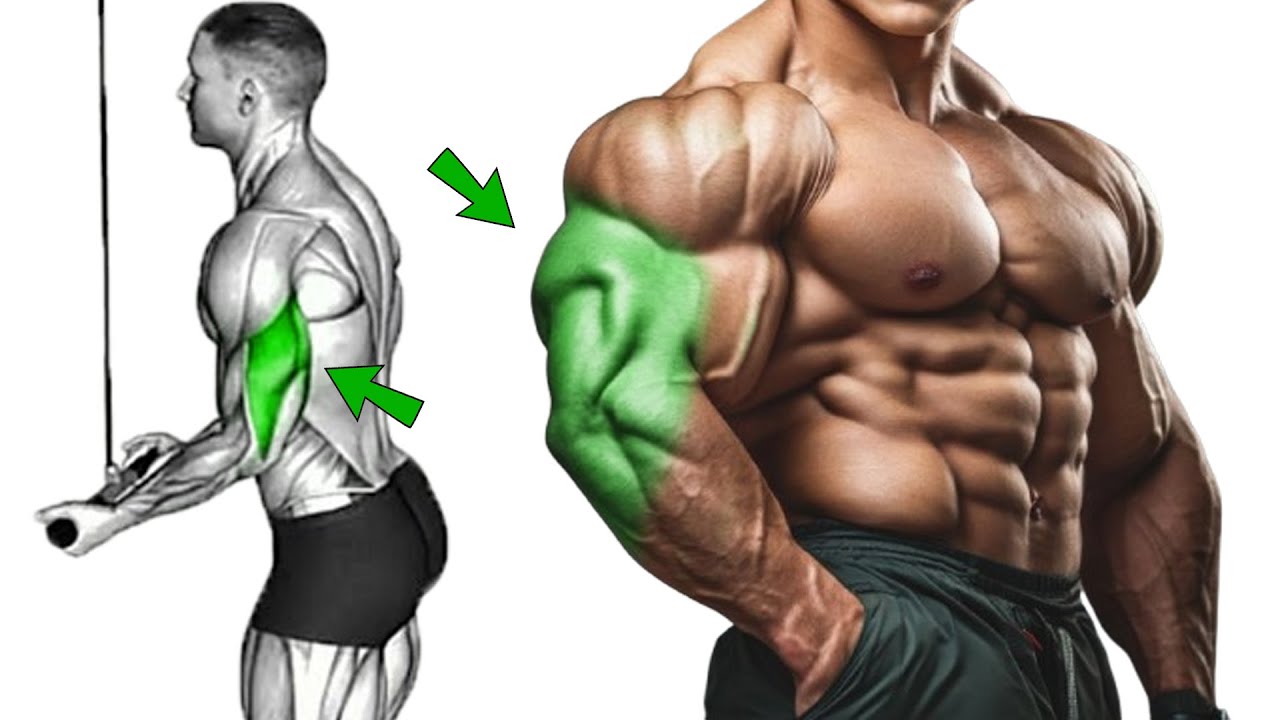 15 Minutes to Killer Triceps – Try This Triceps Burner WORKOUT - YouTube