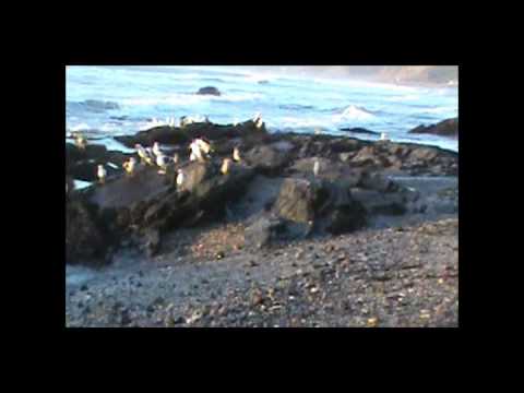 Sexta Región Chile - YouTube