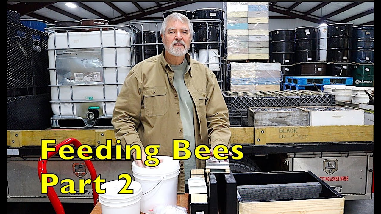 Feeding Bees Part 2 - Basic Feeders, Sugar Syrup Additives and Storage ...
