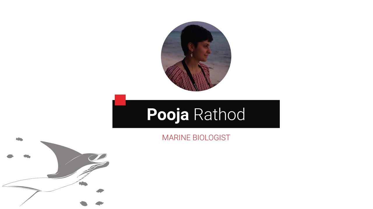 Pooja Rathod - Know Your Fish - YouTube