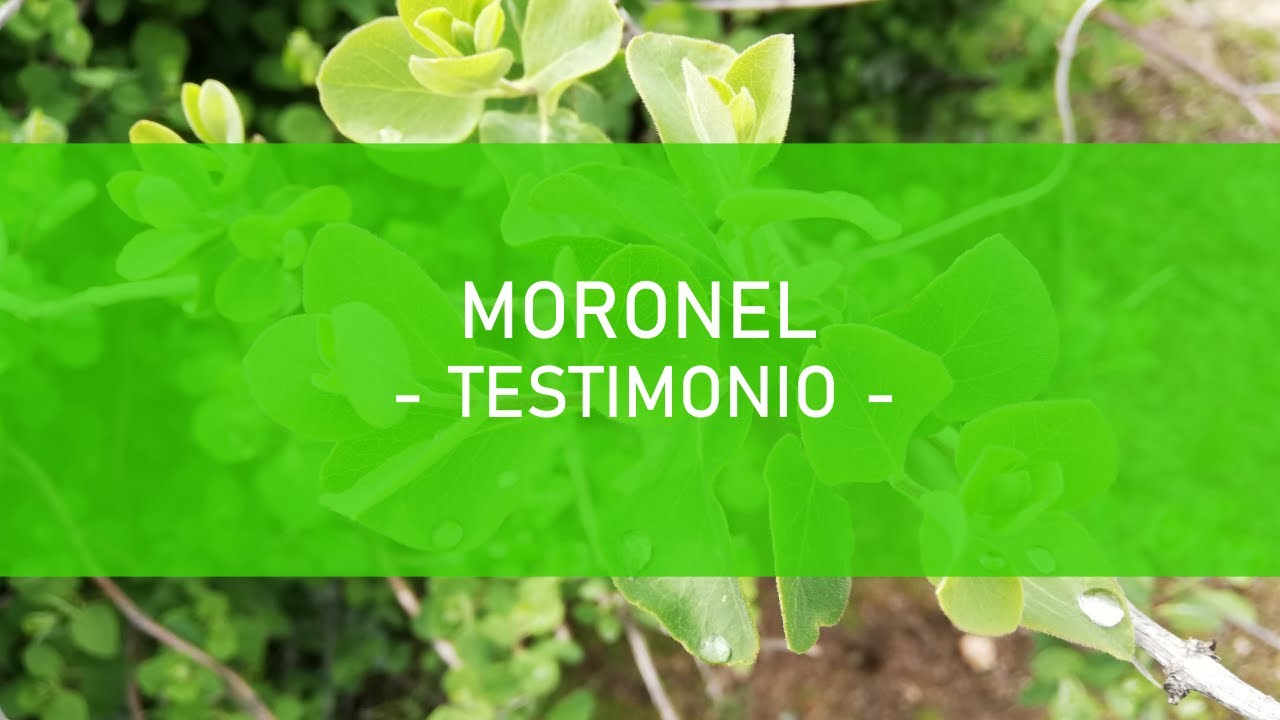 Testimonio Moronel - YouTube