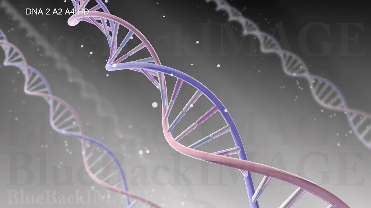 DNA RNA Gene Genome medical virus cell science molecule biology ...