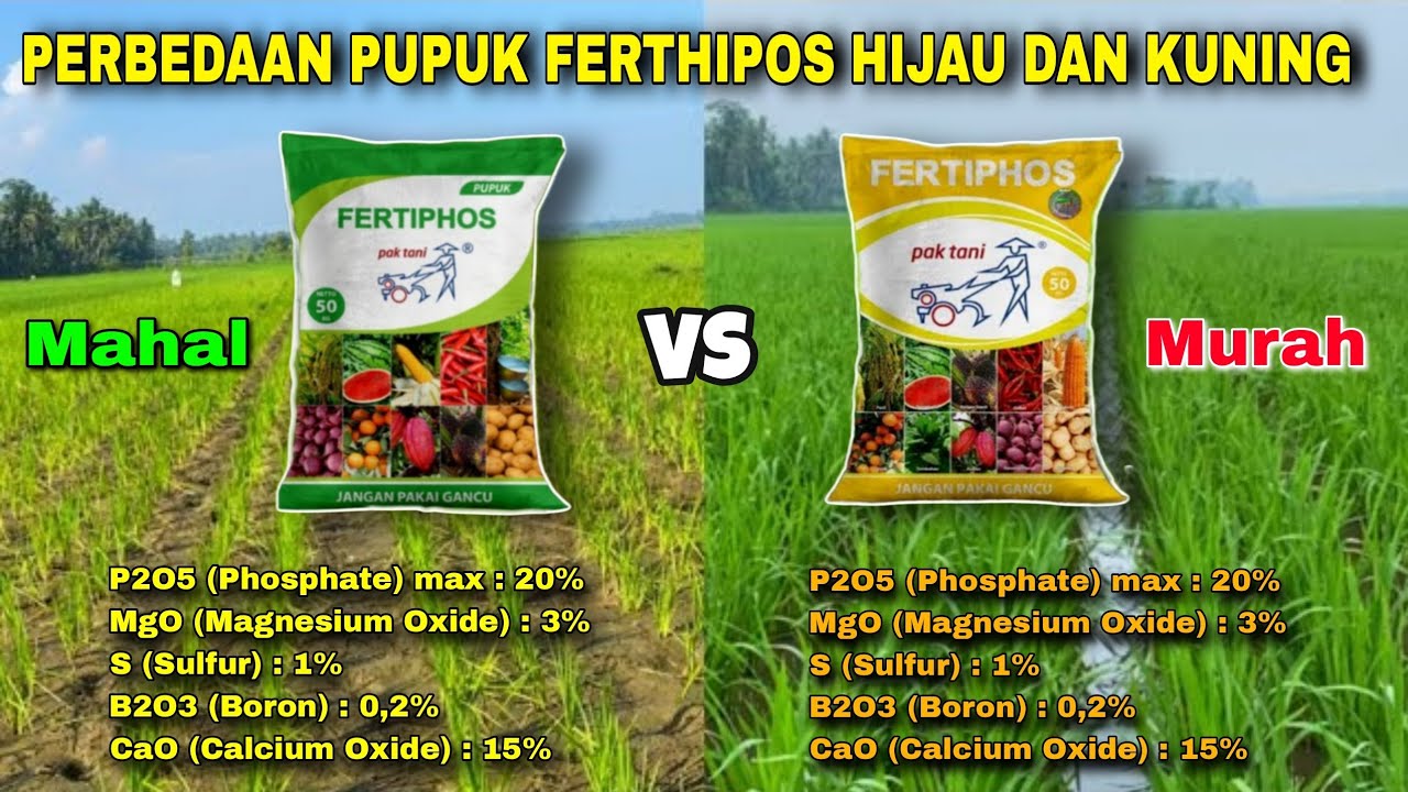 Unsur Hara Sama Kenapa Beda Harga Inilah Perbedaan Pupuk Ferthipos ...