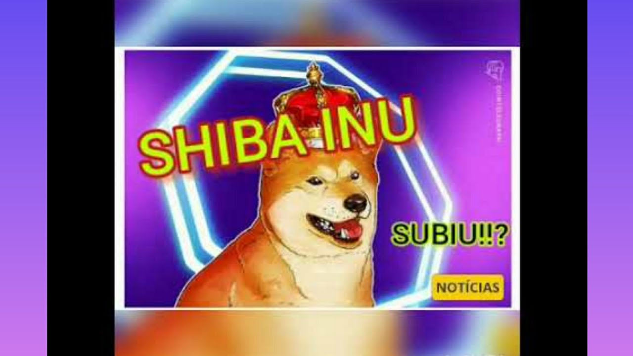 SHIBA INU - YouTube
