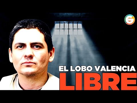 "El Lobo" Valencia ; Líder del Cártel del Milenio, sale de prisión ...