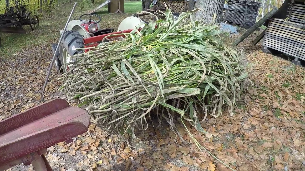 Antique Appleton No.8 Fodder Chopper - Chopping Corn By Hand - YouTube