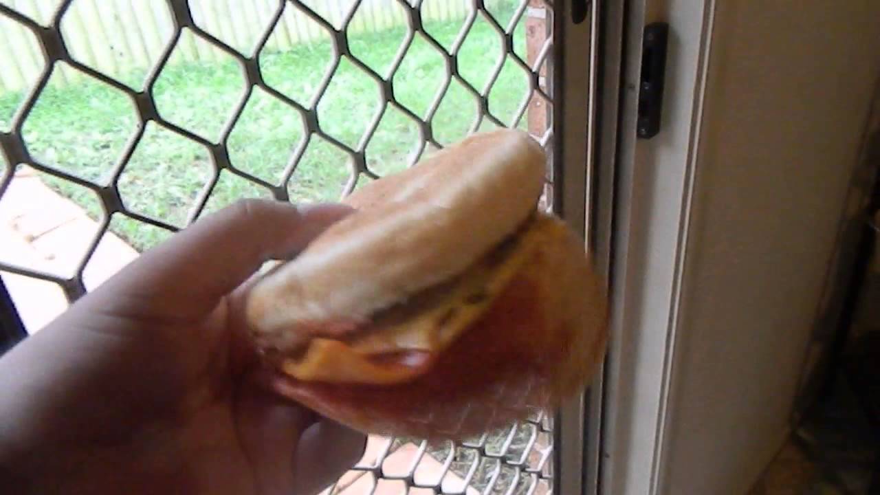 RANDOM - Burger Laughing - YouTube