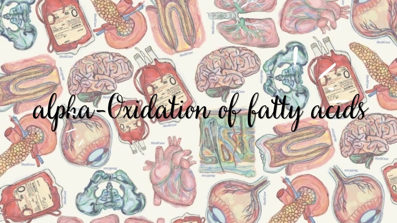 Alpha-Oxidation of fatty acids | Lipid Metabolism | Biochemistry Short ...